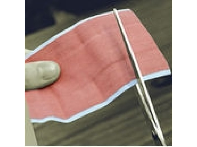 RL507